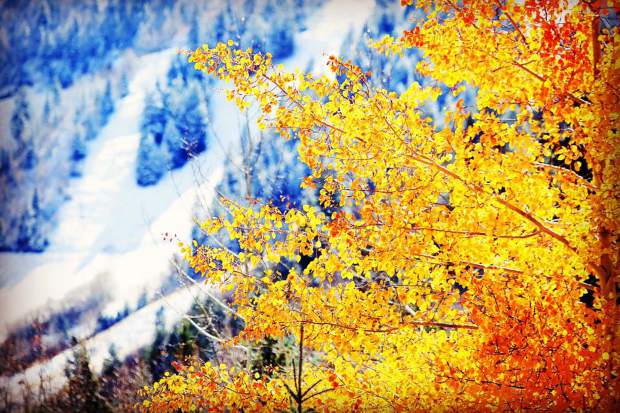 Colbert: Making the most of an October birthday in Aspen | AspenTimes.com