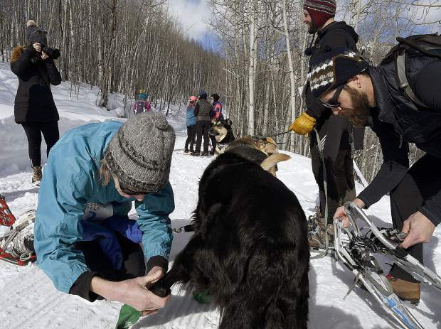 Regulars, newcomers turn out for revamped snowshoe shuffle | AspenTimes.com