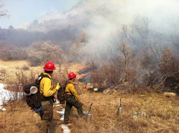 Smoke will be from planned burns: 1,500 acres at Collins Creek, 750 ...
