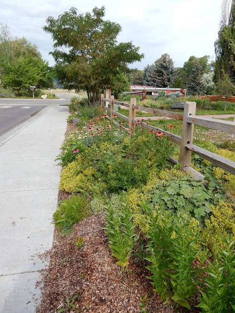 Edible garden blossoms into one of Basalt’s most intriguing parks ...