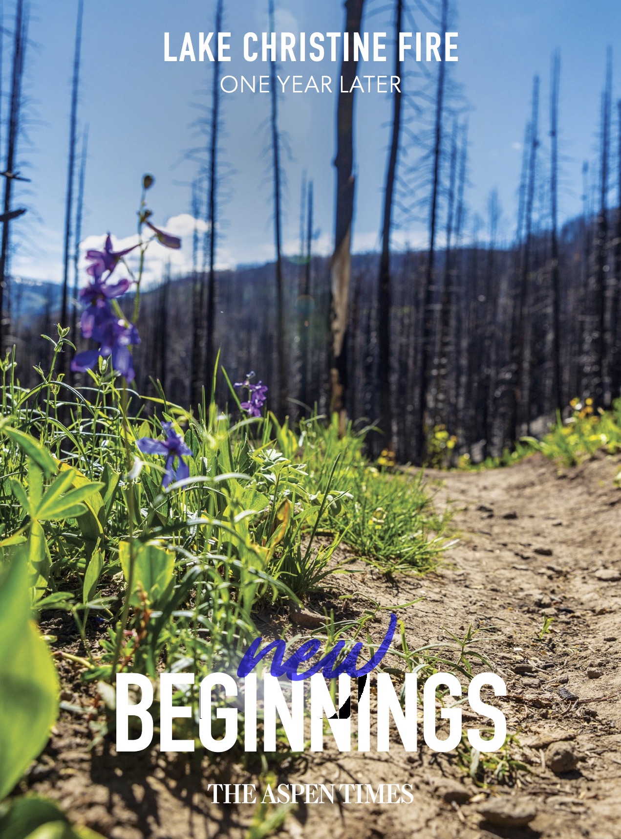 Lake Christine Fire anniversary special section | AspenTimes.com