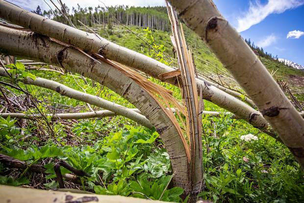 One year after fire, Roaring Fork Valley dealing with flood risk ...