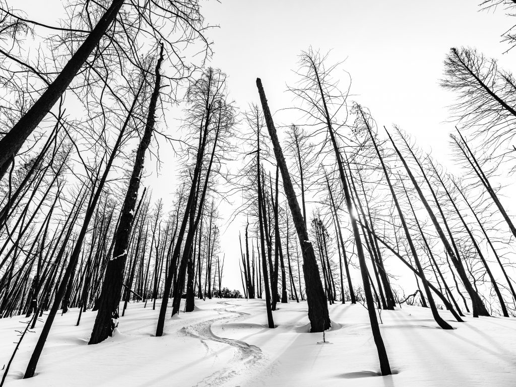 What winter reveals: Locals took to Basalt Mountain to find new look in ...