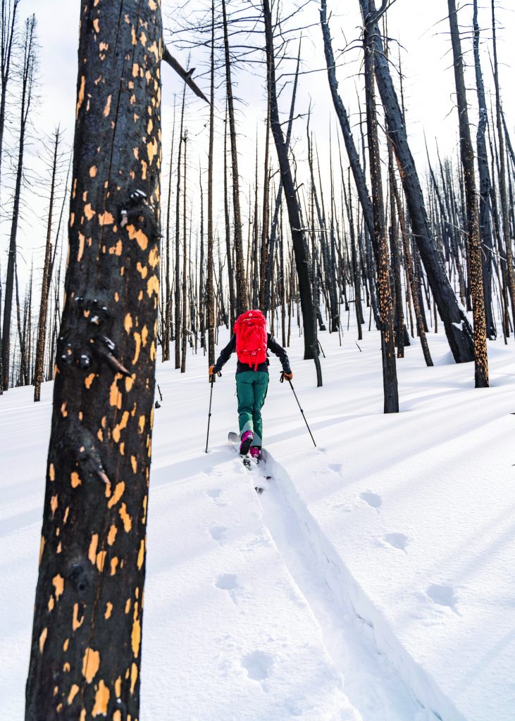 What winter reveals: Locals took to Basalt Mountain to find new look in ...