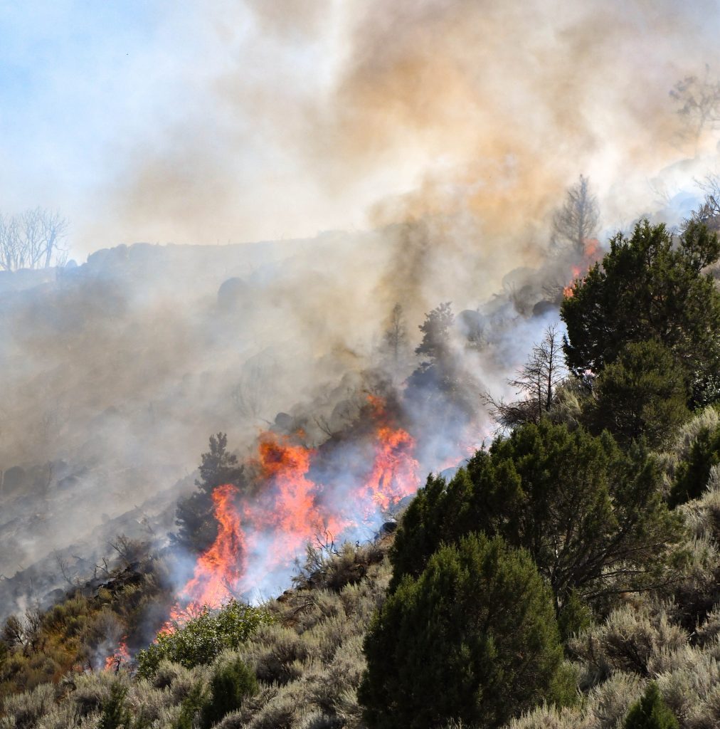 Sunrise Court Fire burned close to 20 acres near Glenwood; 100% under ...