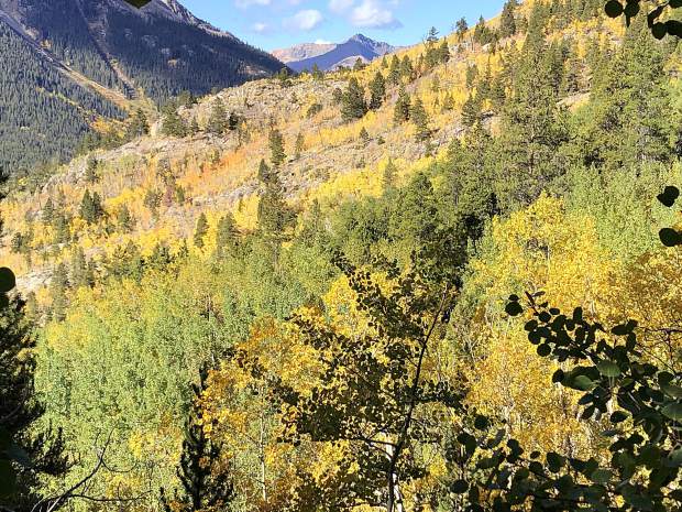 A fall where Aspen’s colors get better by the day | AspenTimes.com