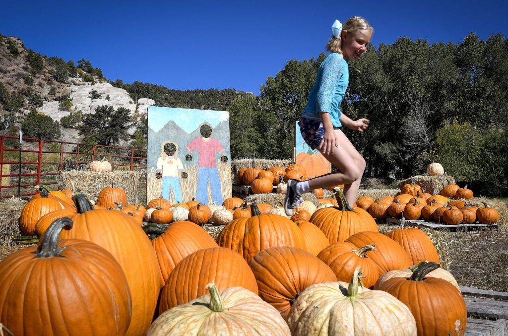 New Castle Gardens continues fall pumpkin patch tradition with ‘10,000-plus pumpkins ...