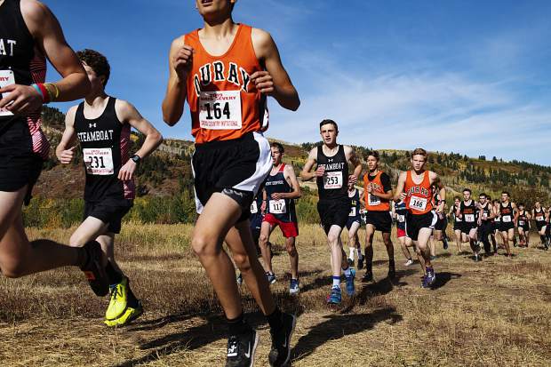 Kylie Kenny paves the way for AHS girls cross country team in home meet ...