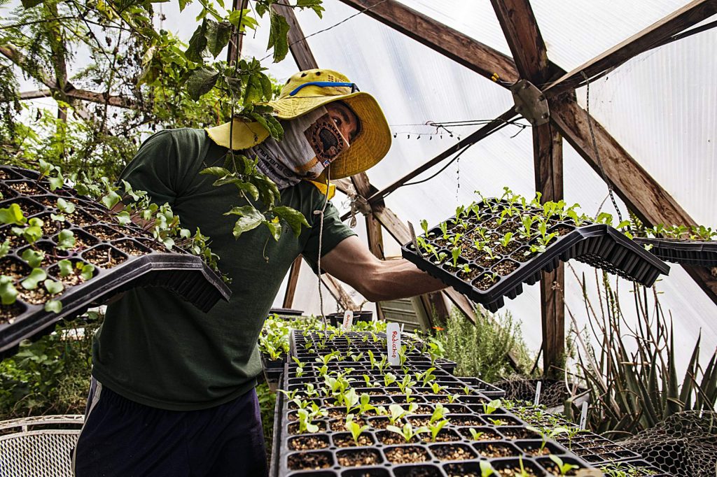 Farm Collaborative promotes education, homegrown food production during ...