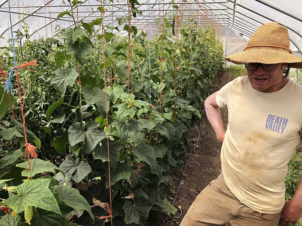 Farm Collaborative’s ‘farm park’ and future plans | AspenTimes.com