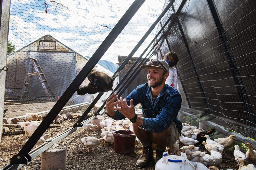 Farm Collaborative’s ‘farm park’ and future plans | AspenTimes.com