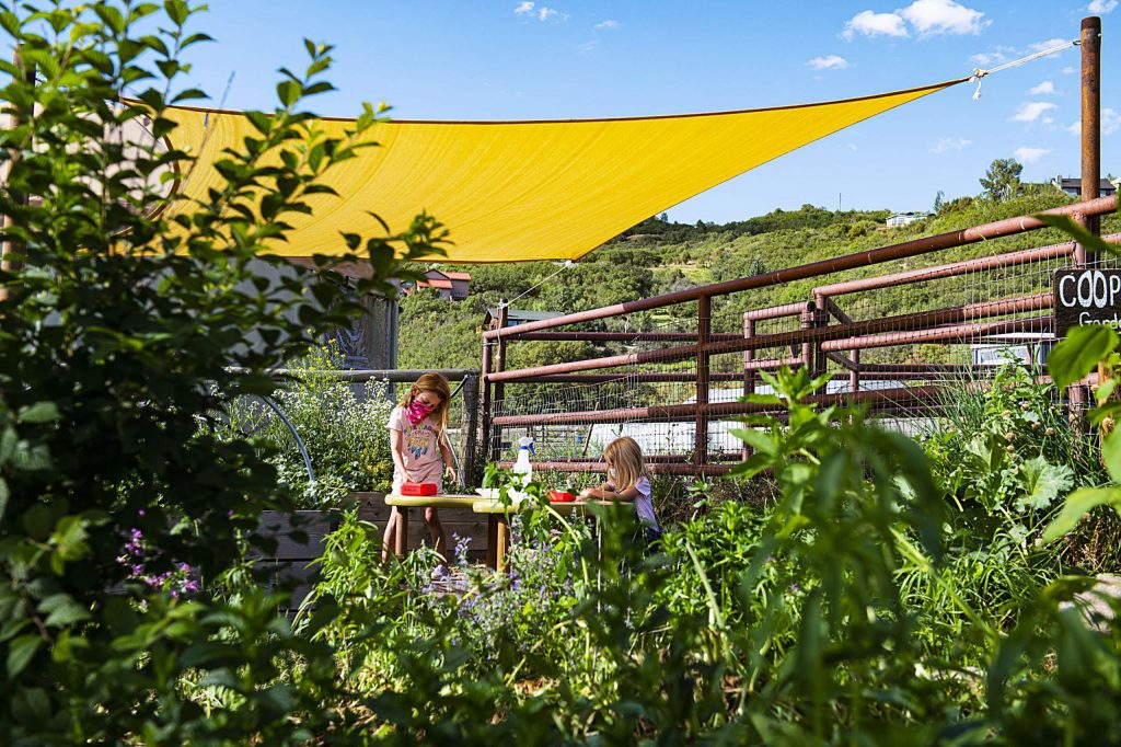 Farm Collaborative’s ‘farm park’ and future plans | AspenTimes.com