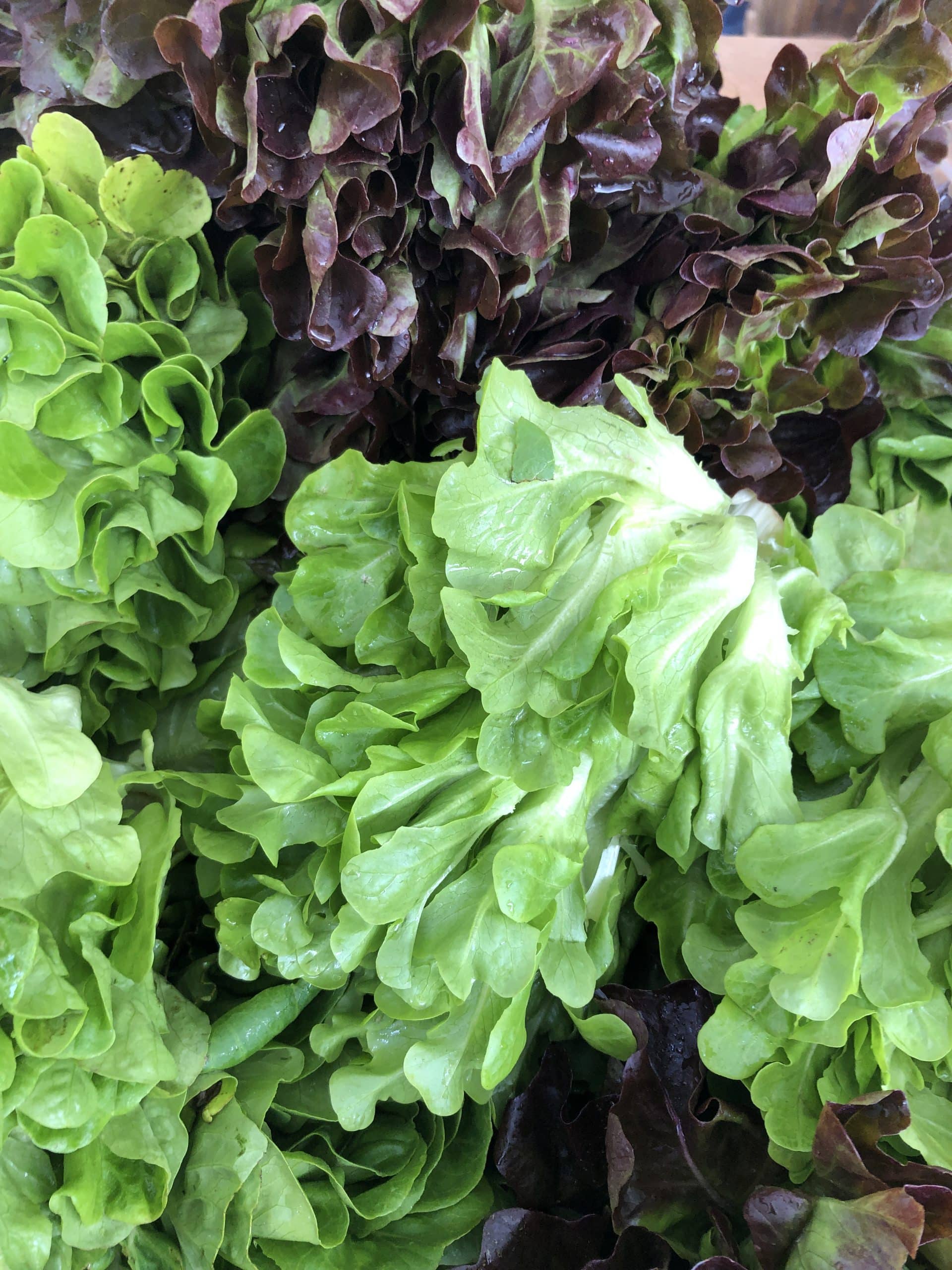 Peak Produce: My favorite farmers’ market finds | AspenTimes.com