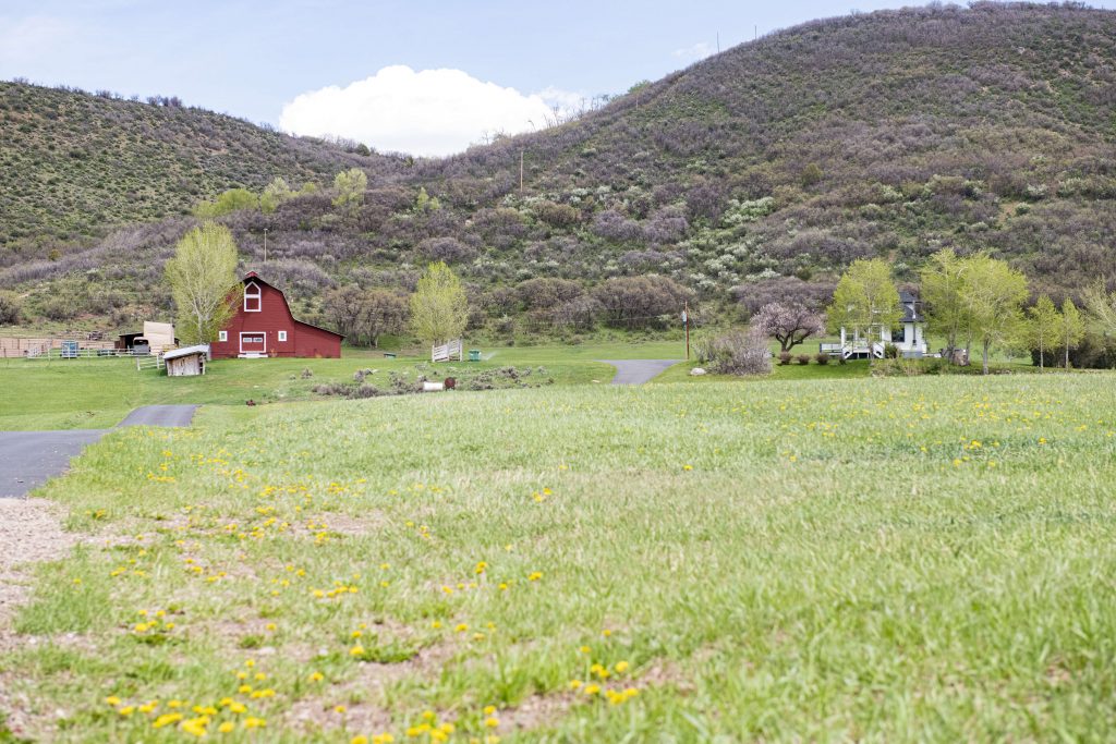 Moore family negotiating major conservation deal for their historic ...