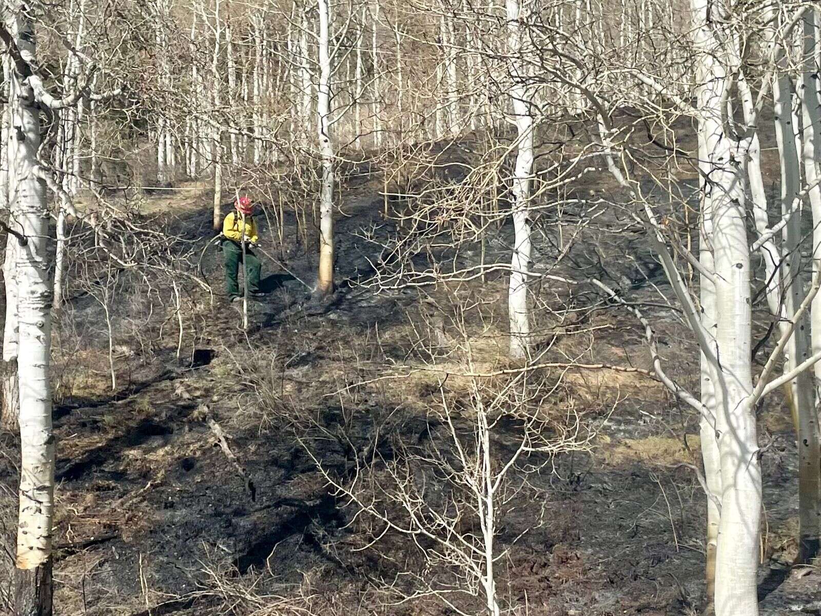 Wildland fire contained near Castle Creek Road | AspenTimes.com