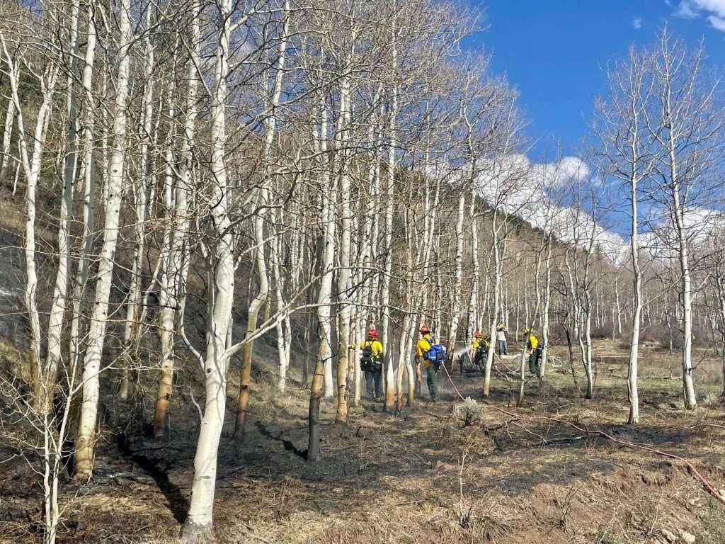 Wildland fire contained near Castle Creek Road | AspenTimes.com