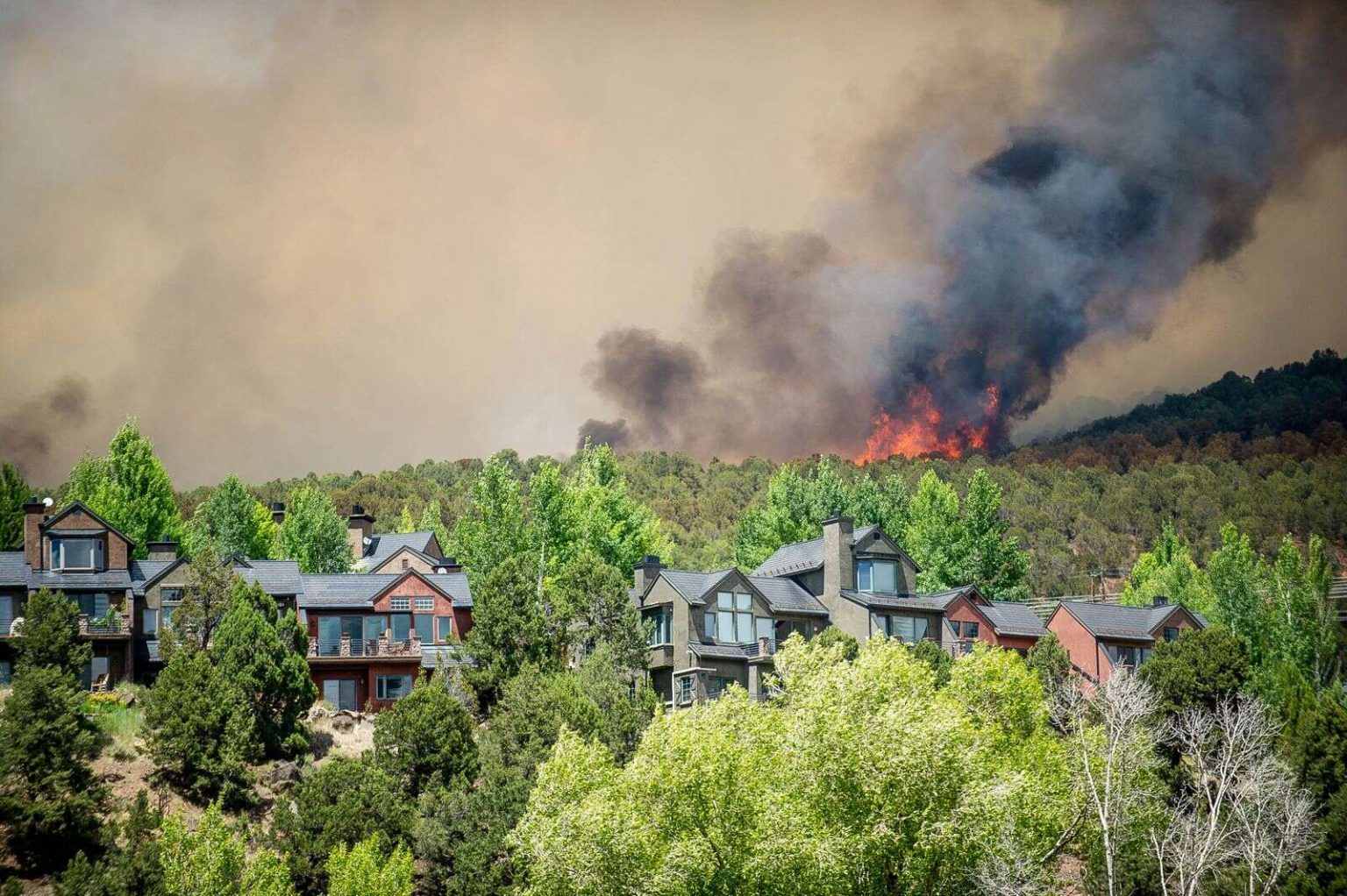 ‘First Five Feet’ critical for Aspen homeowners when fire strikes ...
