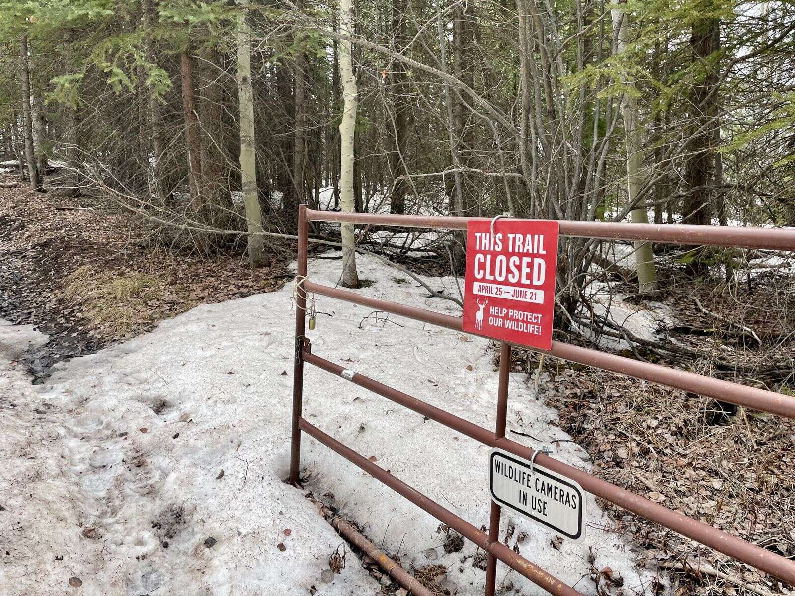 Snowmass briefs: Burnt Mountain closures begin April 25 | AspenTimes.com