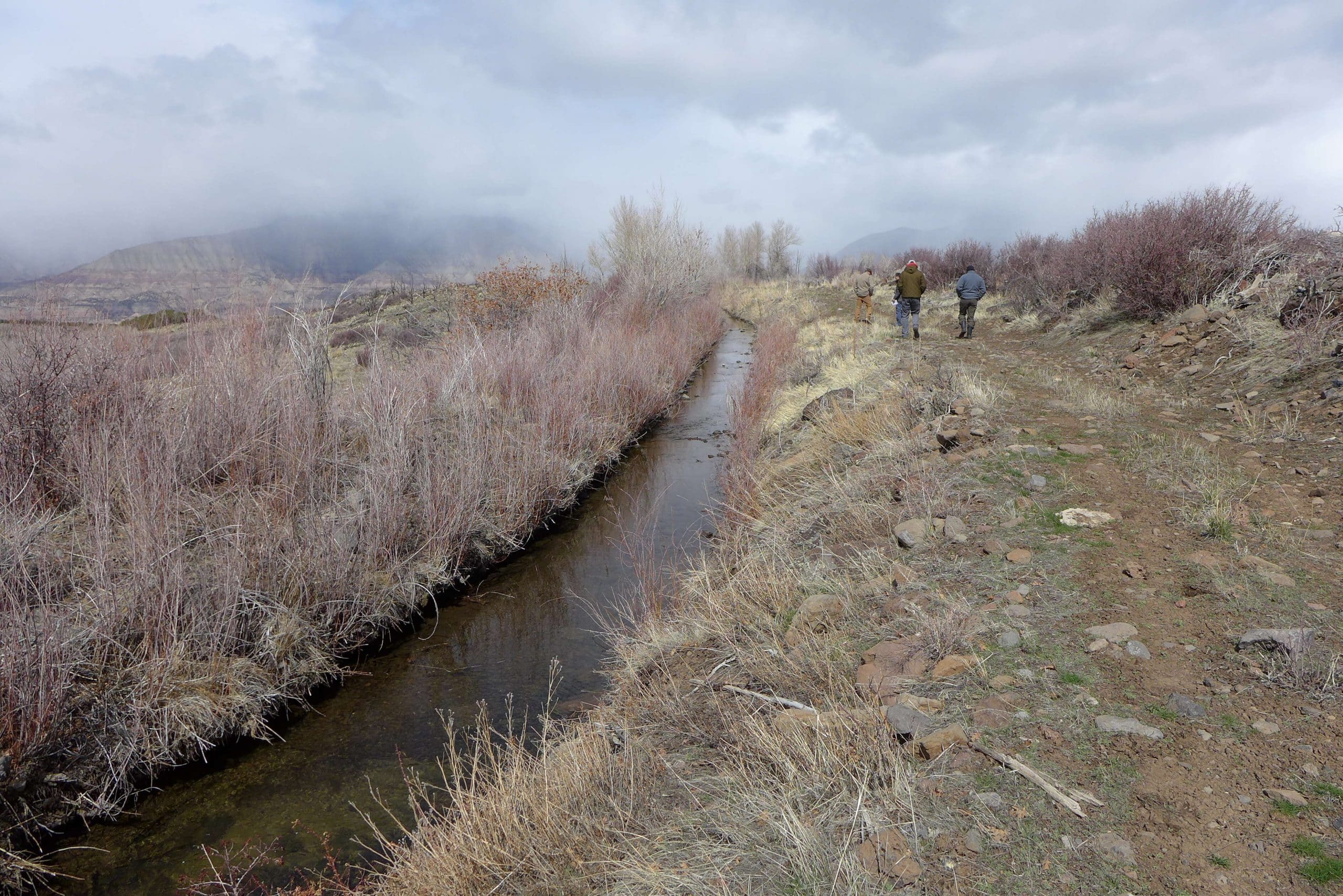 Popular ditch inventories remain private despite being publicly funded ...