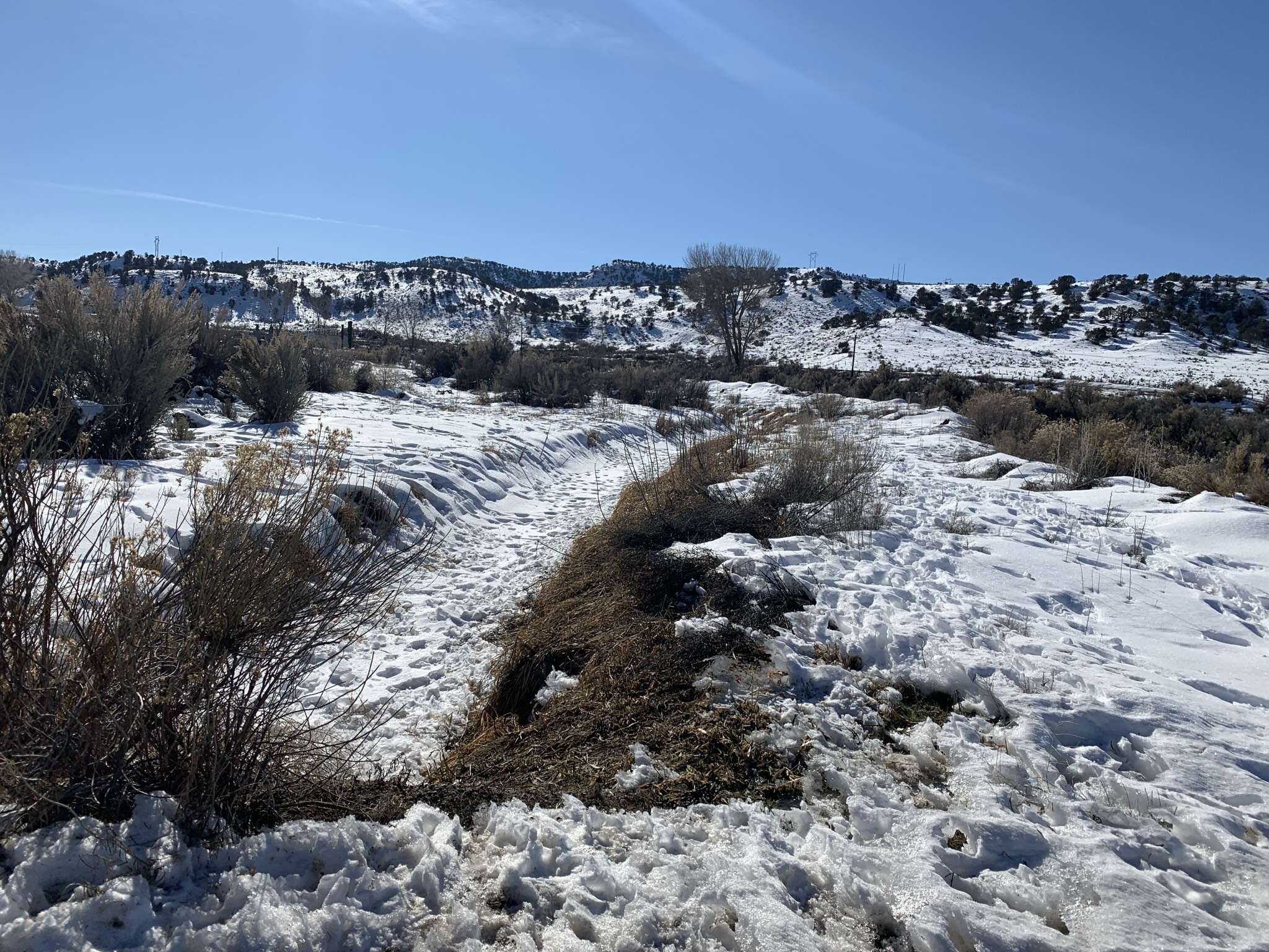 Popular ditch inventories remain private despite being publicly funded ...