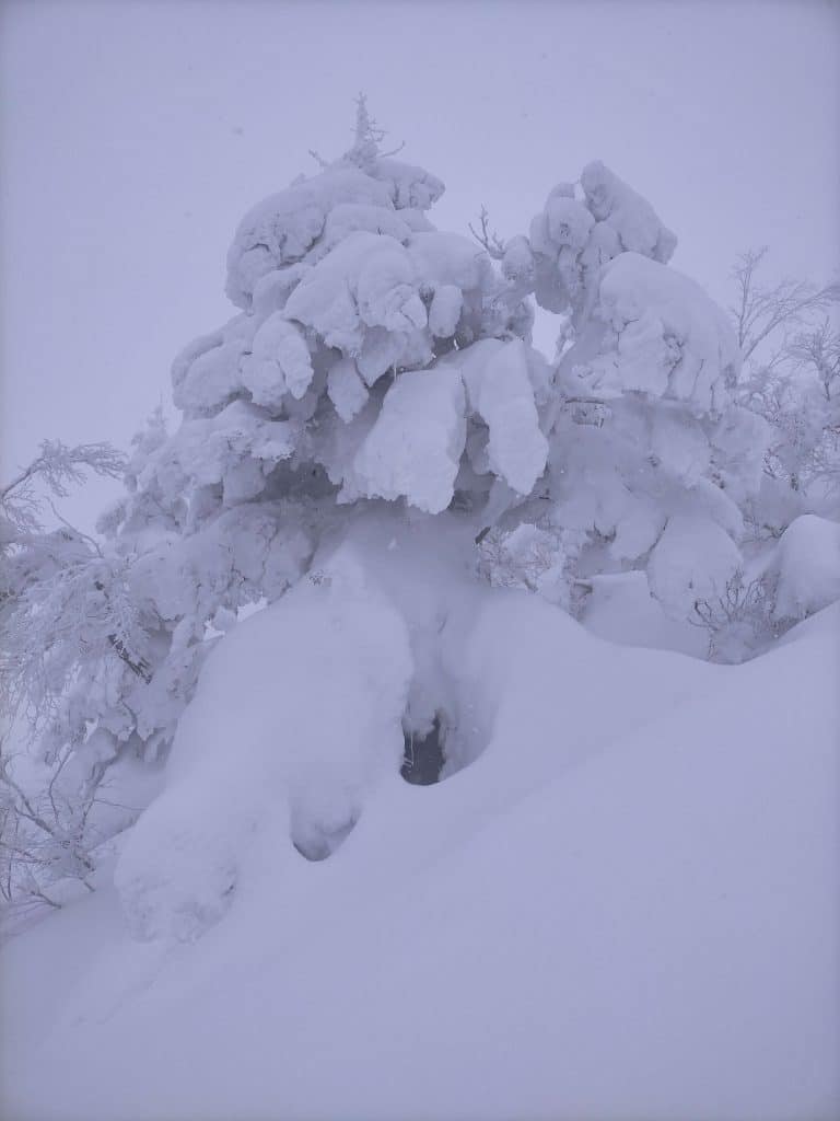 Timbah Bell: Learning from the quietness | AspenTimes.com