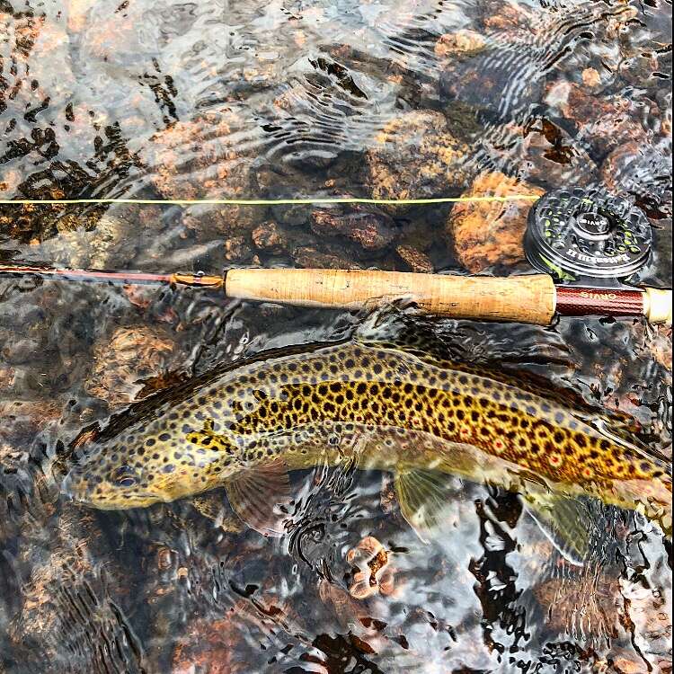 On the Fly: Your first fly rod | AspenTimes.com