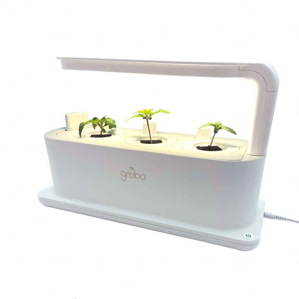 High Country: Grow your own at home with Grobo | AspenTimes.com