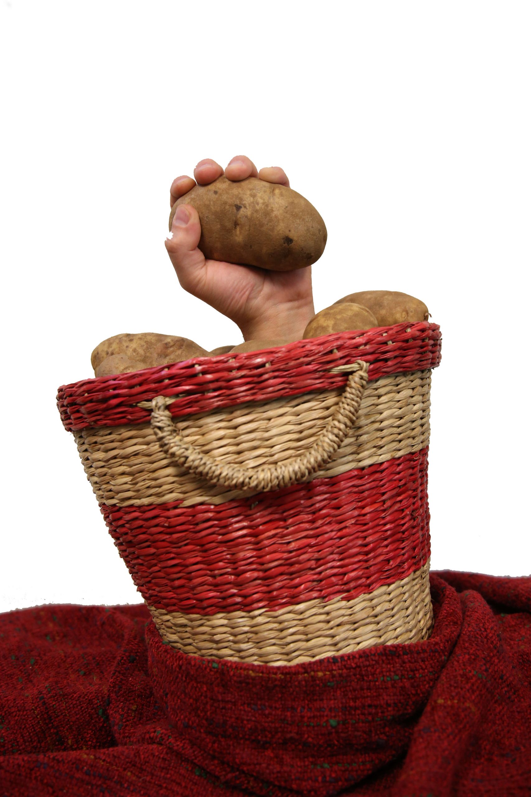 This spud’s for you: Potato Day returns for 112th year in Carbondale ...