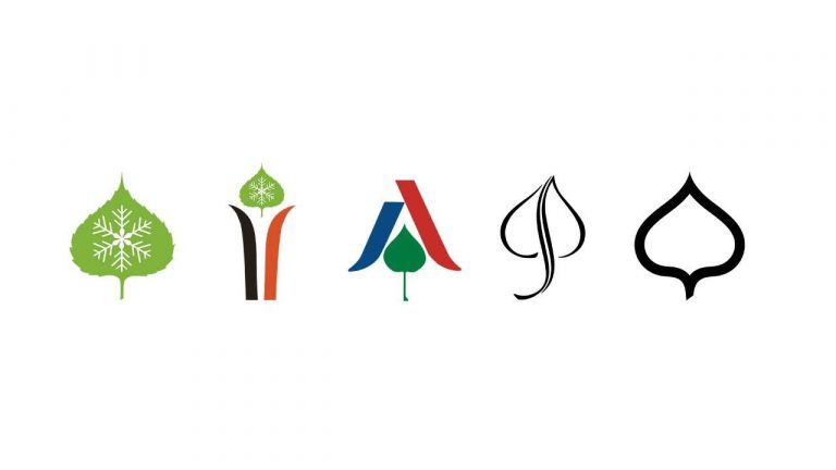 Aspen Skiing Co.’s branding reassessment led to change of iconic aspen ...