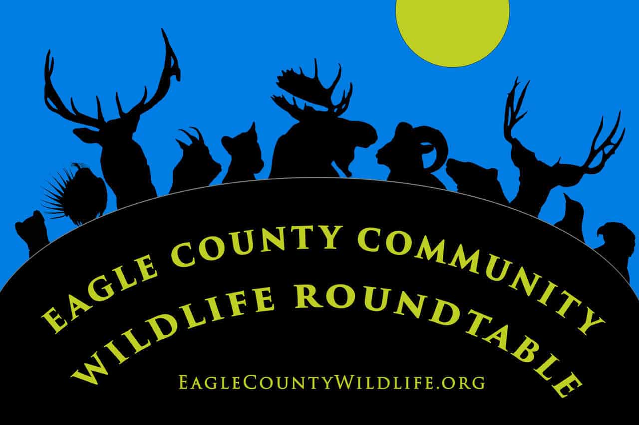 Wildfires and wildlife: How animals survive fires and how you can help ...