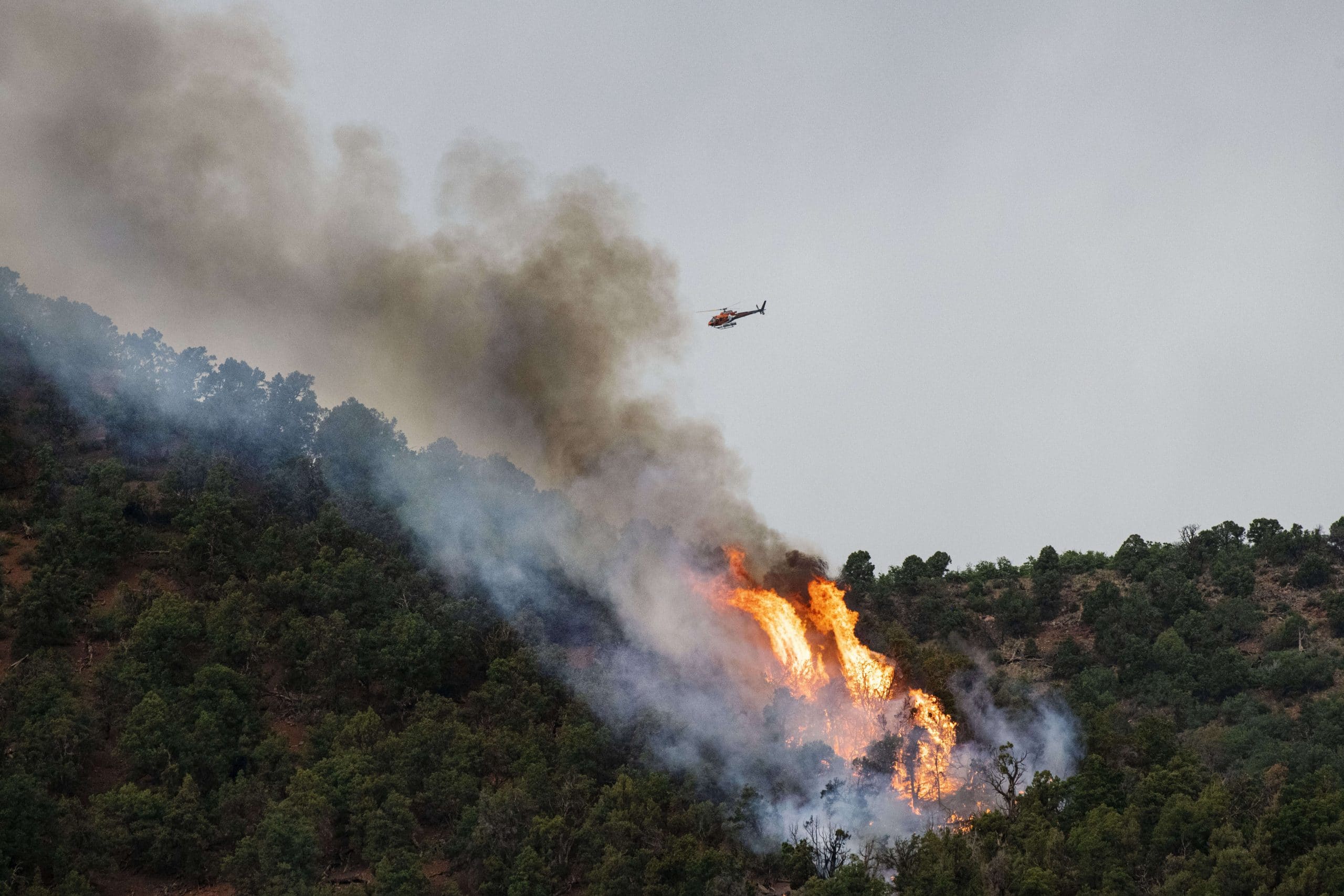Early-warning wildfire camera program OK’d by Pitkin commissioners ...