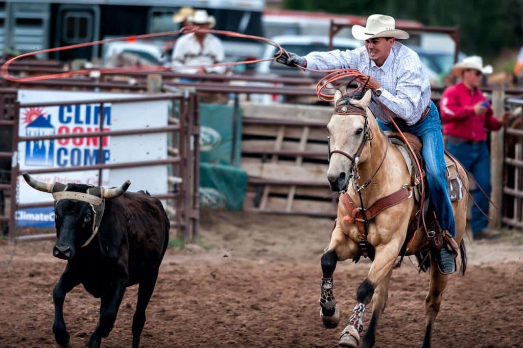 Camaraderie and competition at the Snowmass Rodeo | AspenTimes.com
