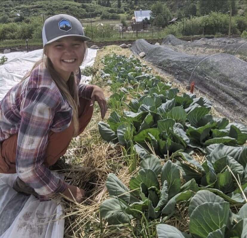 Food Matters: Farm Collaborative’s first ‘incubator farmers’ share ...