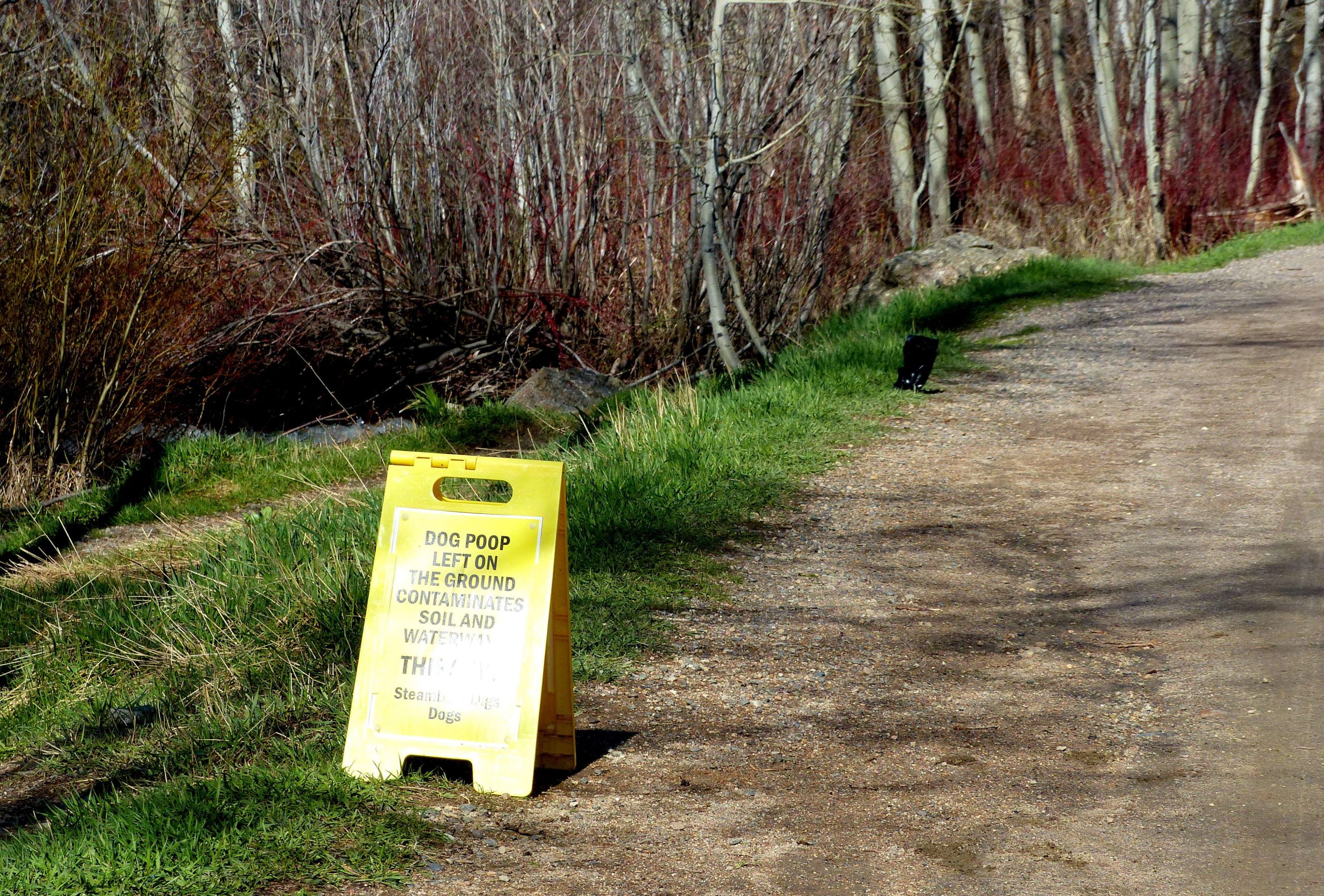 Colorado’s land managers struggle with dog owners who leave bags of dog ...