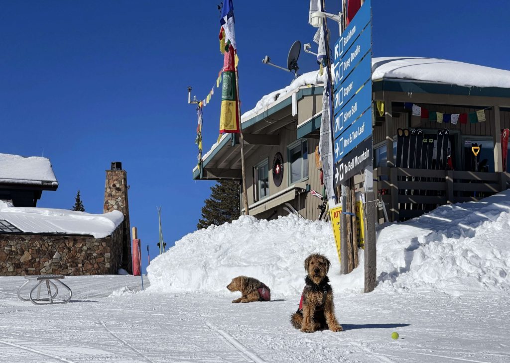A “once in a lifetime” bond: Aspen ski patroller Brad Benson remembers ...