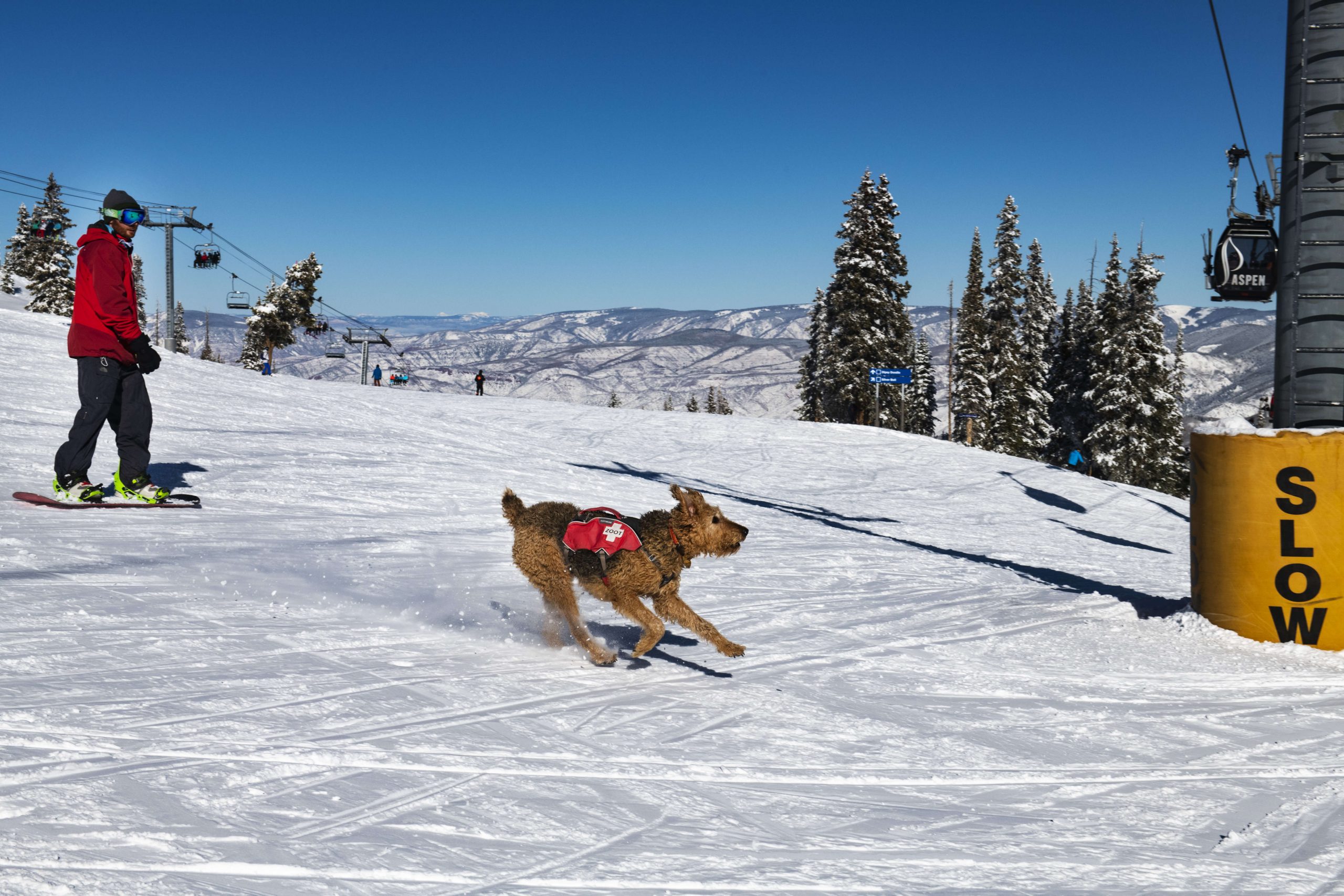 A “once in a lifetime” bond: Aspen ski patroller Brad Benson remembers ...