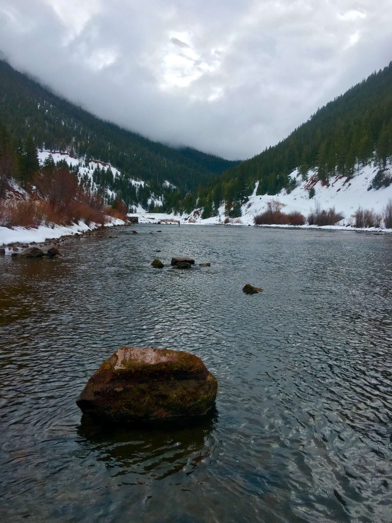 On the Fly: Fryingpan River wanderings | AspenTimes.com