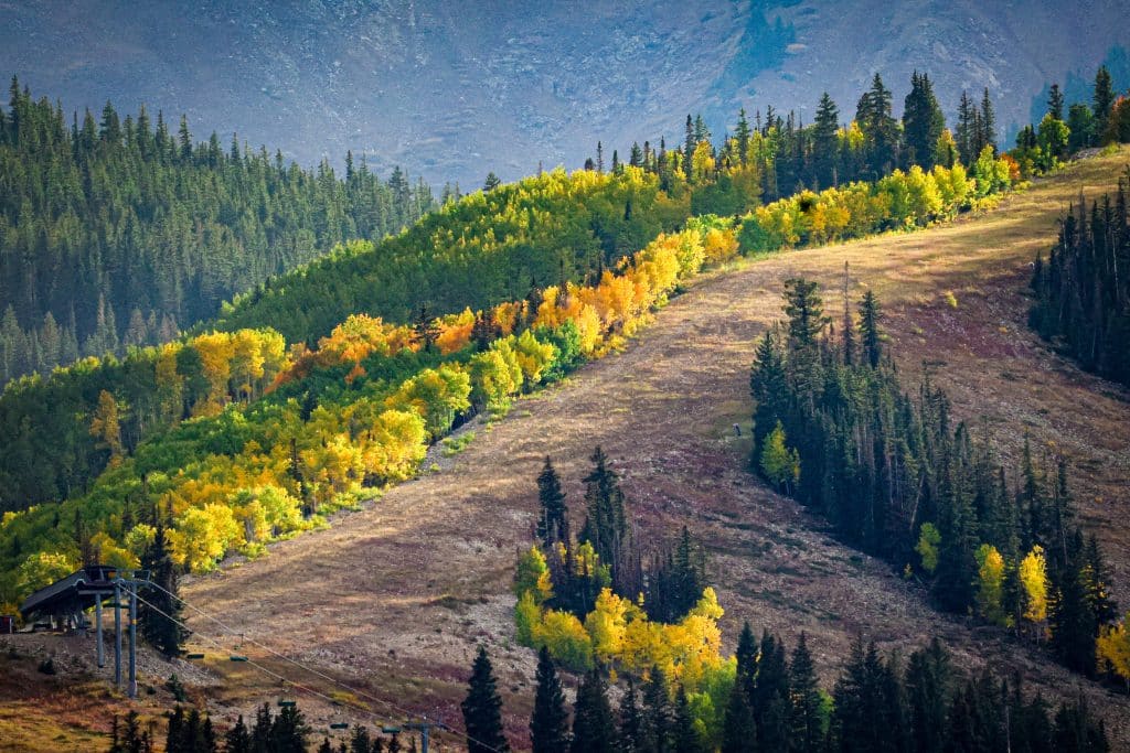 Aspen is and always has been a great place to view fall colors ...