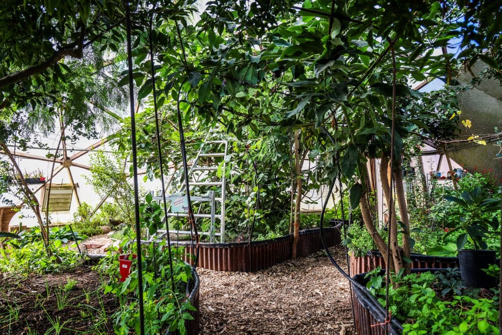 An evening of wine and cheese with Laura Werlin at the Farm ...