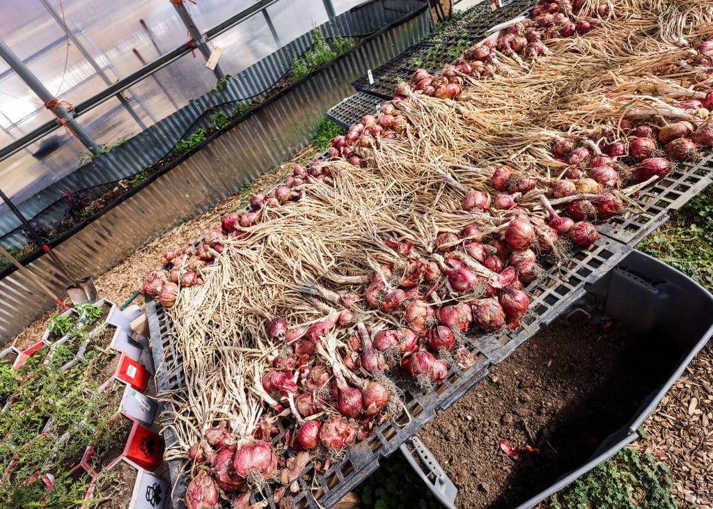 Passion for farms starts young; at least that’s the idea locally as ...