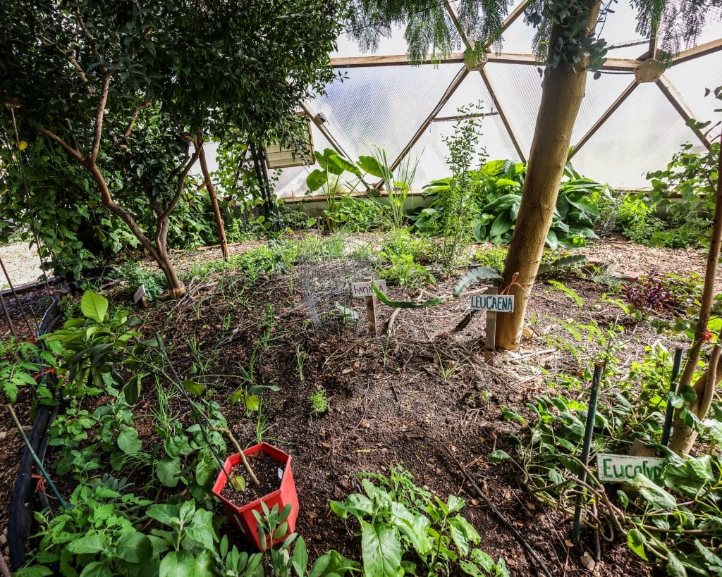 Passion for farms starts young; at least that’s the idea locally as ...