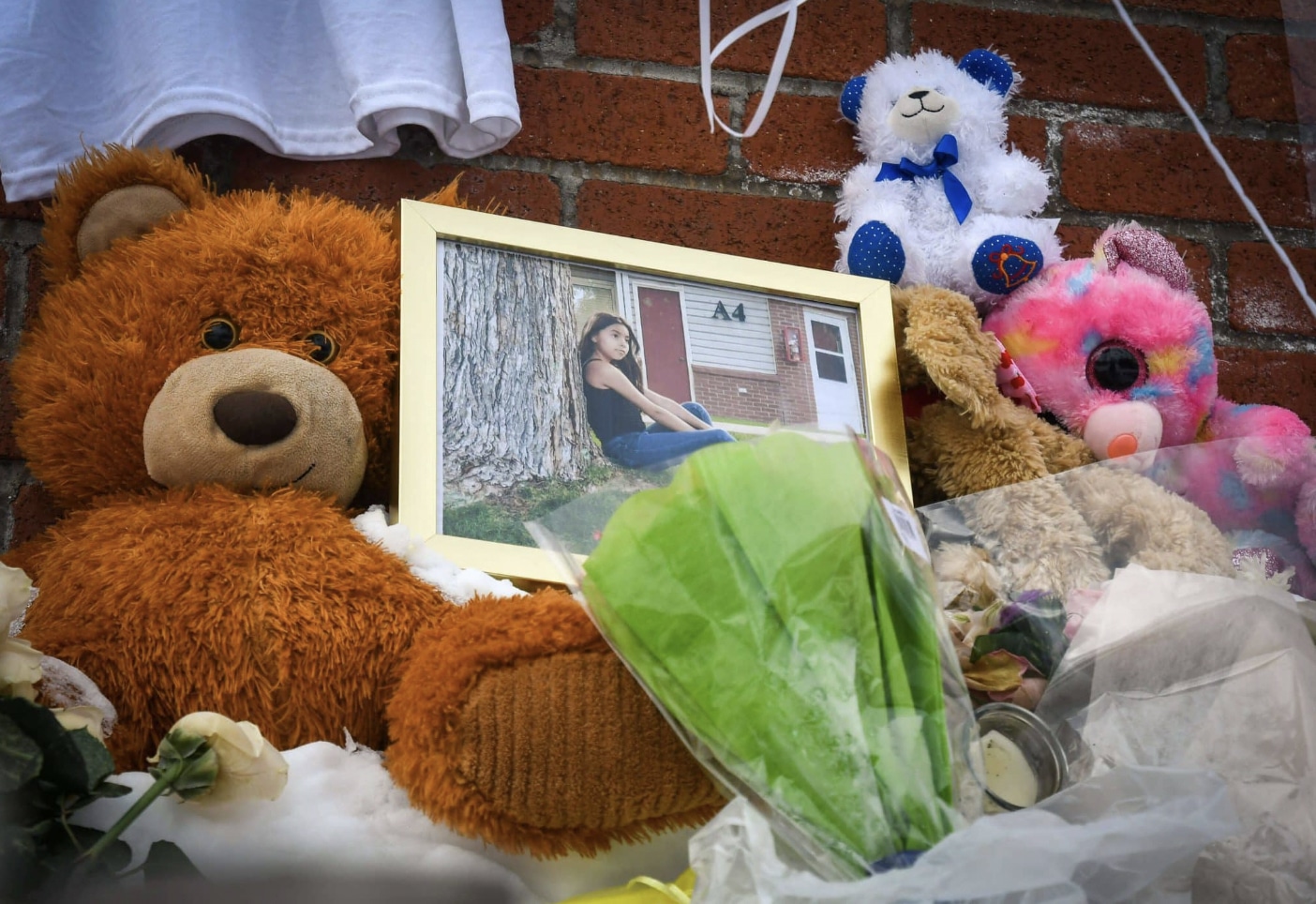 Mother found ‘legally insane’ at time of stabbing but competent to ...