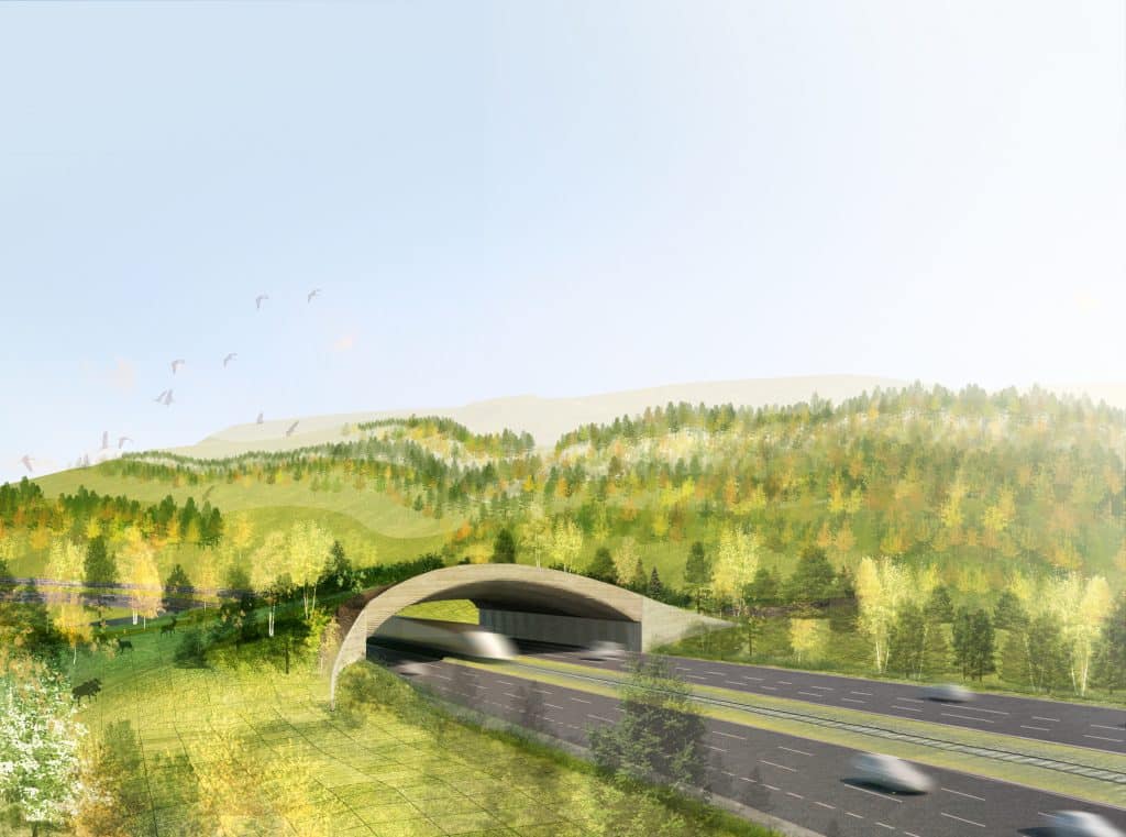Roaring Fork Safe Passages aims to protect wildlife and connect high ...