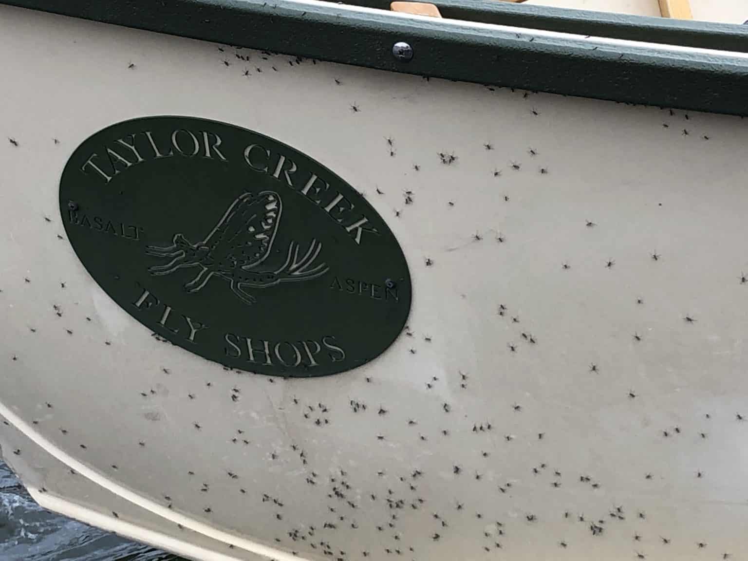 On the Fly: The springtime hatches are here in the valley; are you ...