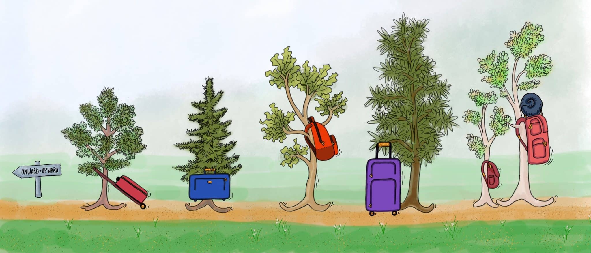 Halleaux: Traveling trees — assisted migration for climate resilience ...