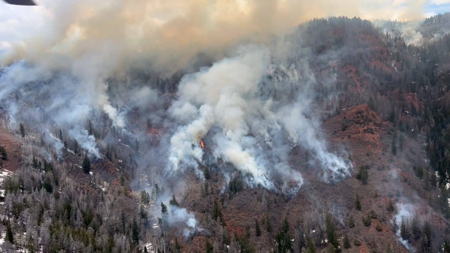 Setting the forest on fire on purpose | AspenTimes.com