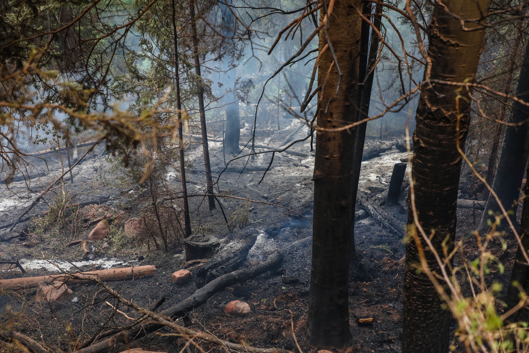 Welcome rain falls on Sylvan Fire as firefighting crews dig in for long ...