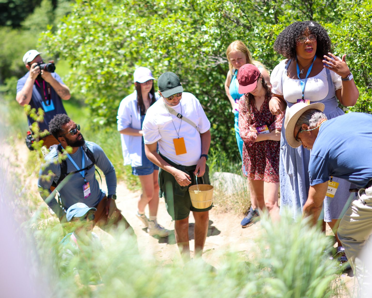 Explore wild edibles with Alexis Nikole, aka ‘The Black Forager ...