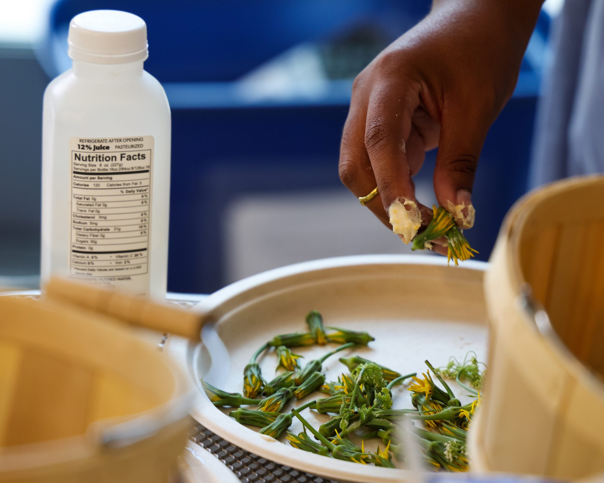 Explore wild edibles with Alexis Nikole, aka ‘The Black Forager ...