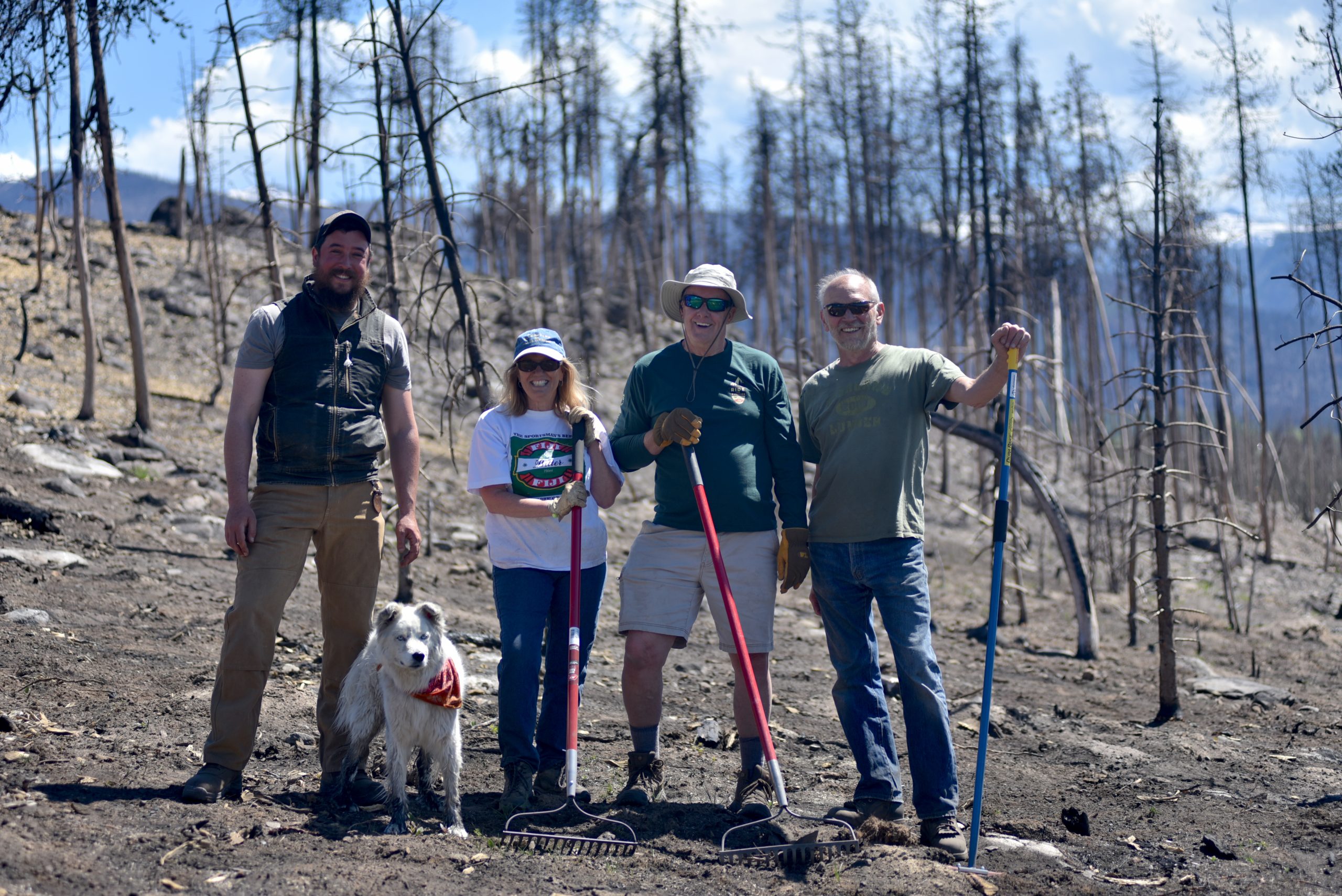Burn scars: Recovery from Colorado’s largest wildfire feels a long way ...